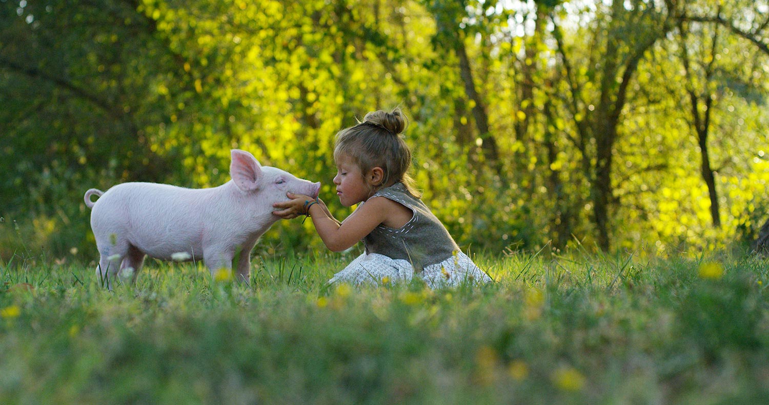 10 Photos Show Love Between Children and Animals - SantriNetwork.com